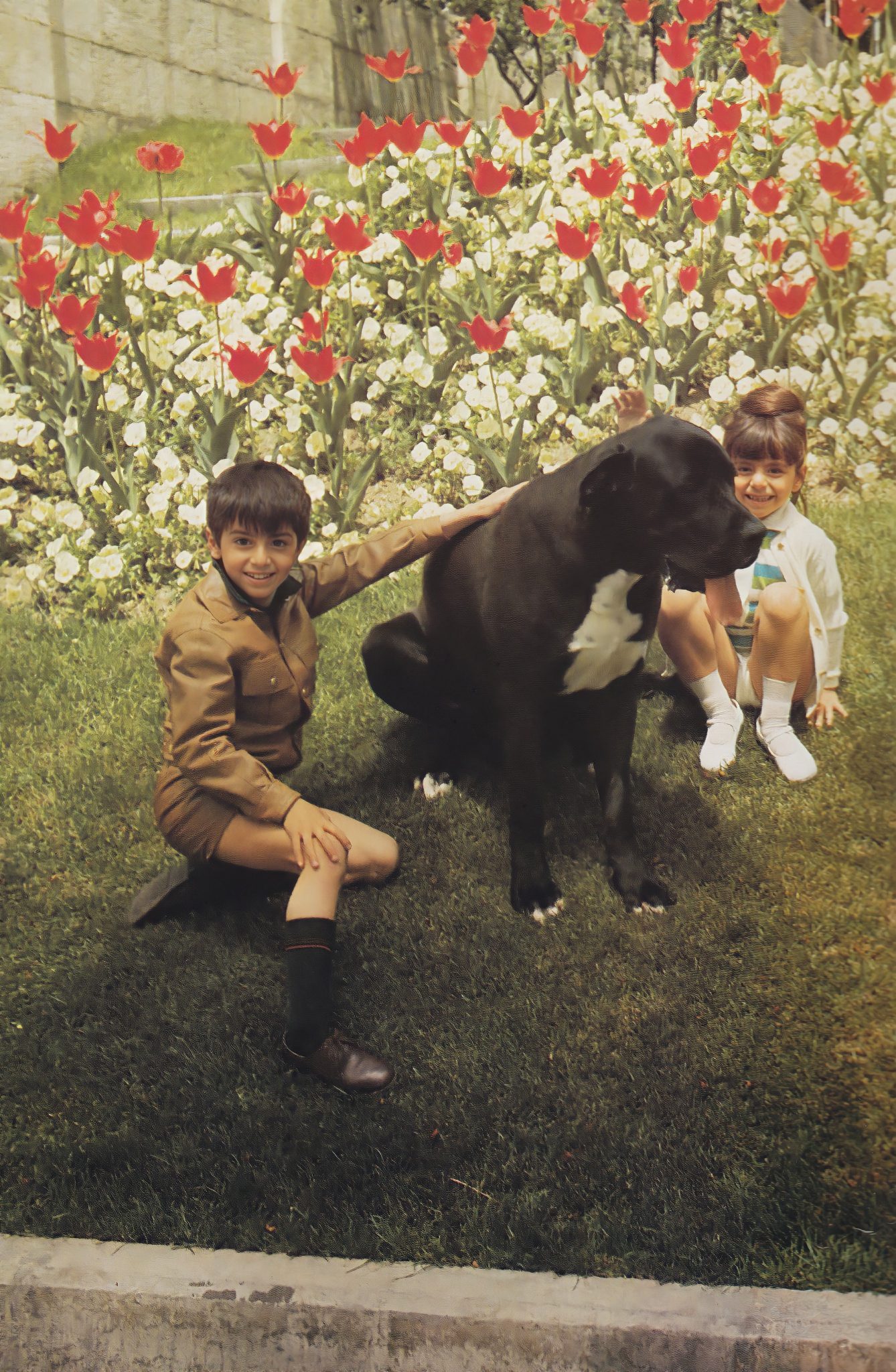 Princess Farahnaz Pahlavi - Queen Farah Pahlavi