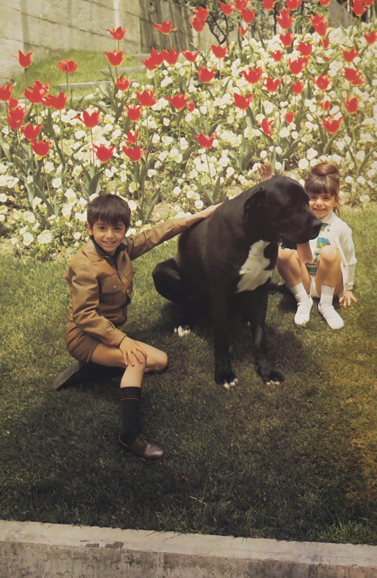 Princess Farahnaz Pahlavi - Queen Farah Pahlavi